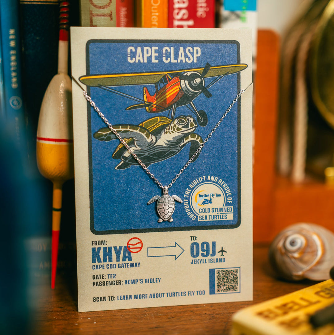 Shark Tracker Clasp | Cape Clasp