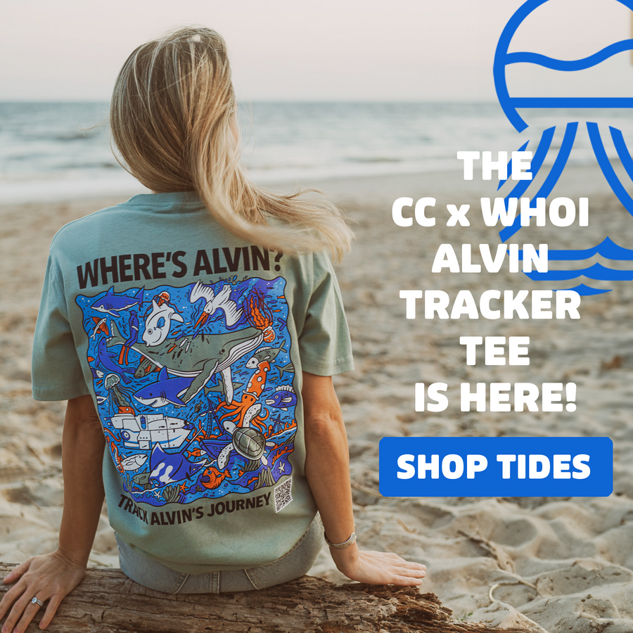 Cape Clasp | Ocean Jewelry | #makewaves for marine life causes